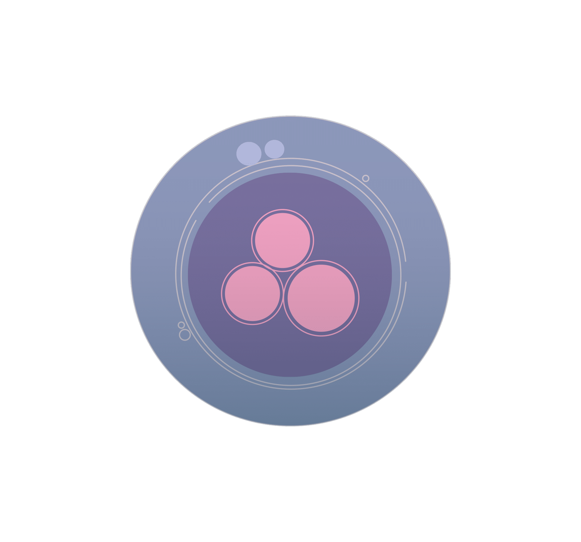 Can embryos from zygotes with 1 or 3 pronuclei be used? - gametia.com
